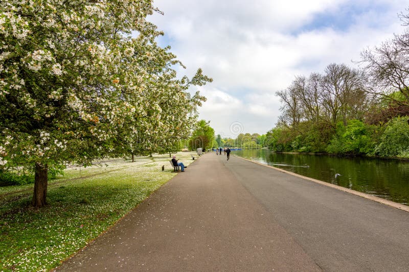 Regent S Park Landscape in Spring, London, UK Stock Illustration ...