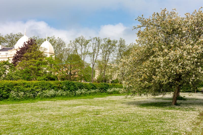 Regent S Park Landscape in Spring, London, UK Stock Photo - Image of ...