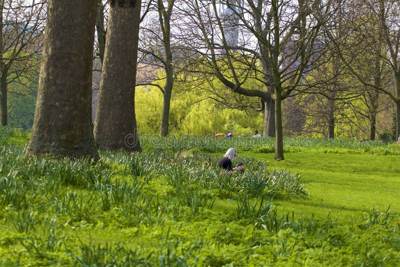 Regent`s Park, London, England Editorial Photo - Image of beautiful ...
