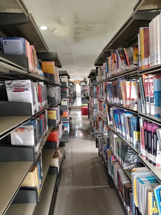 The Regional Library Bookshelf Has Various Types of Books Stock Photo ...