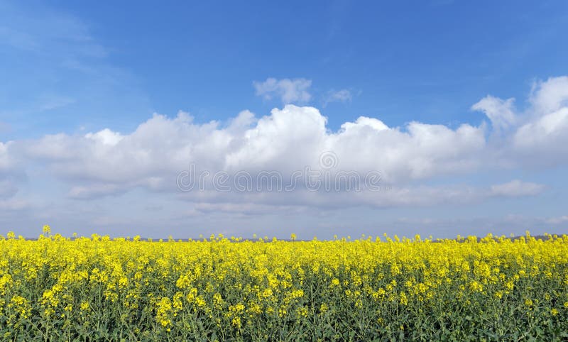 Regional Natural Park Oise France Stock Image - Image of travel, oise ...