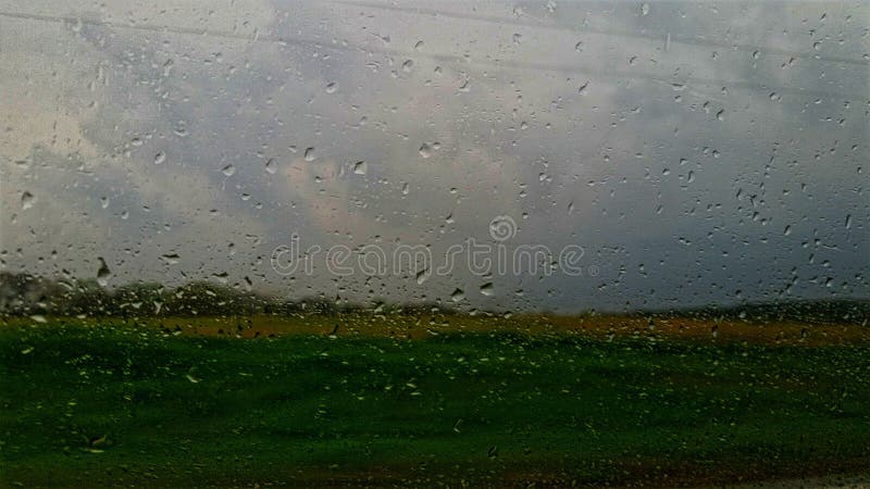 Regn fotografering för bildbyråer. Bild av gräs, fönster - 117474427