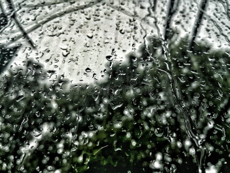 Regn fotografering för bildbyråer. Bild av regn, textur - 135353809