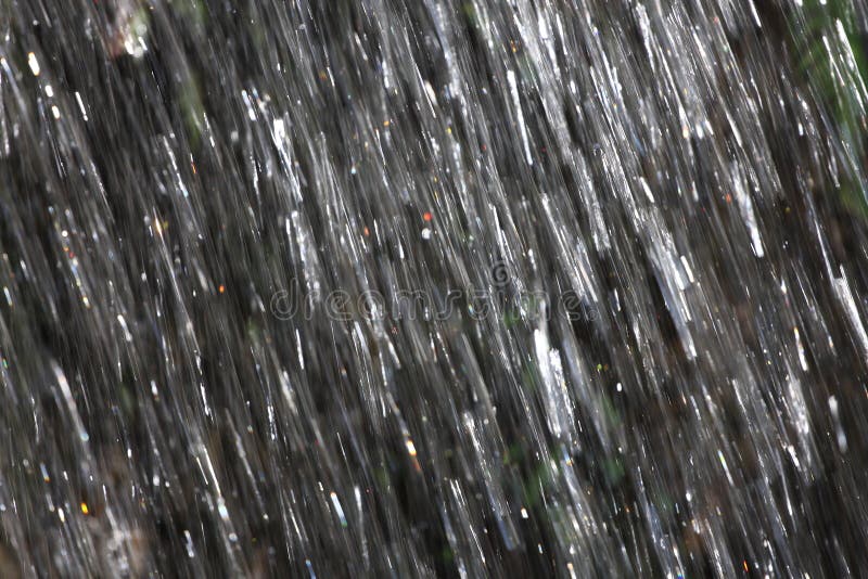 Regnen stockbild. Bild von hunde, fallen, sonnenstrahl - 10429405