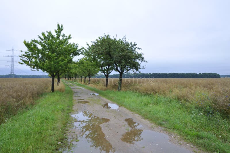 Regnen des Tages stockfoto. Bild von gefärbt, regen, sommer - 48523004