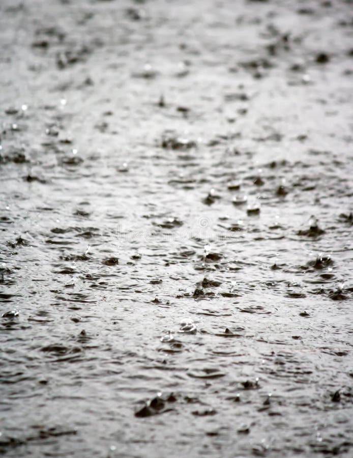 Regnen Sie Tropfen stockfoto. Bild von tropfen, nahaufnahme - 14629426