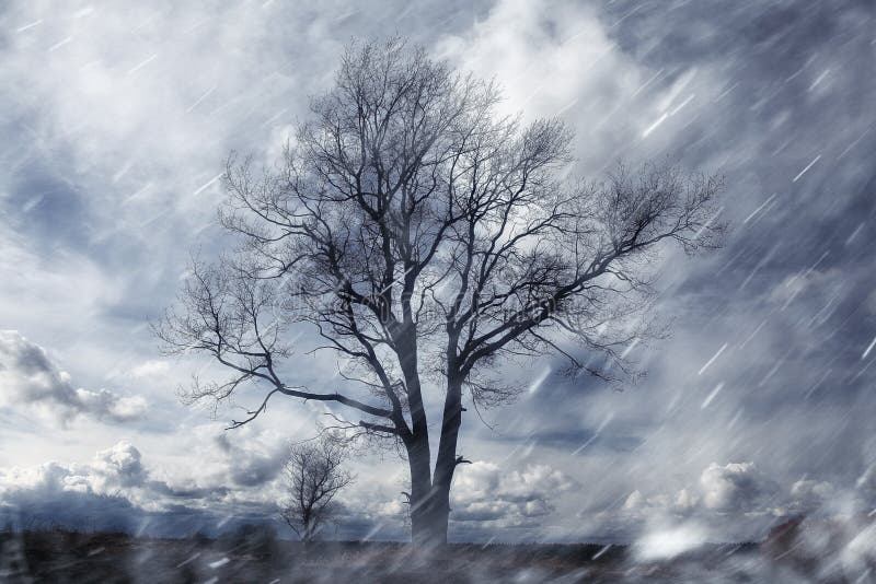 Regnerische Landschaft stockfoto. Bild von meteorologisch - 60660298