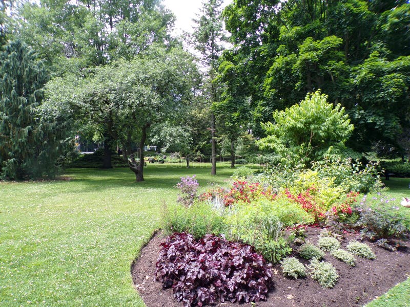 Park Landscape stock image. Image of plant, garden, tree - 279322149