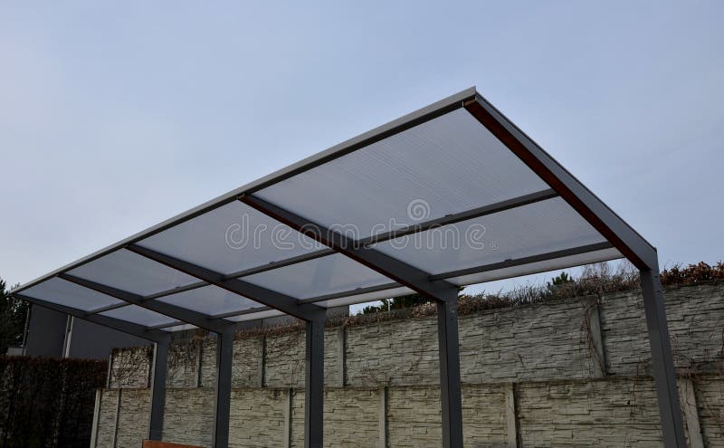 Regular Spring Rust of Trees in the Orchard. There are Lots of Cut ...