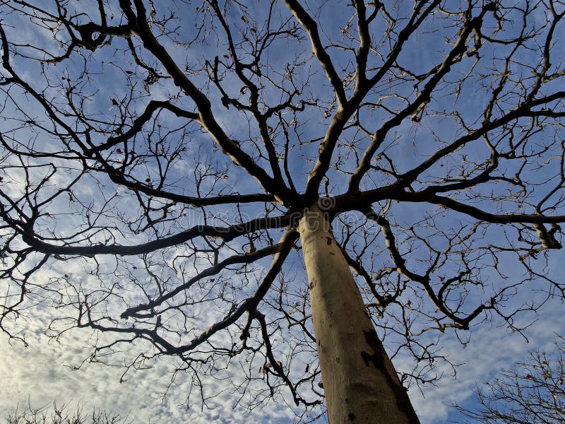 Correct Splicing Stock Photos - Free & Royalty-Free Stock Photos from ...