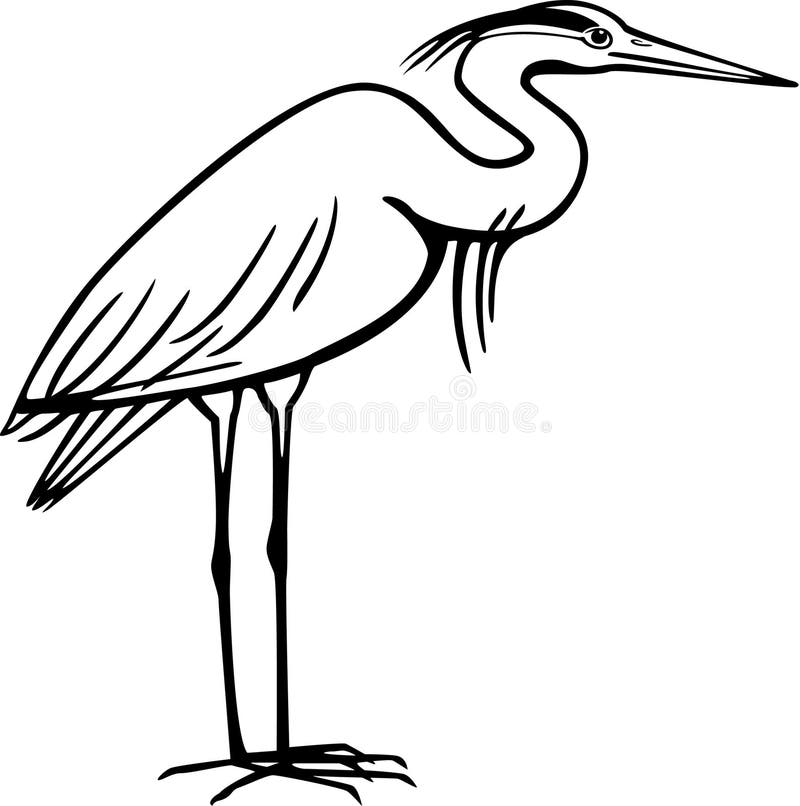 Hand-drawn Potloodgrafiek, Reiger Gravure, Stencilstijl Vector ...