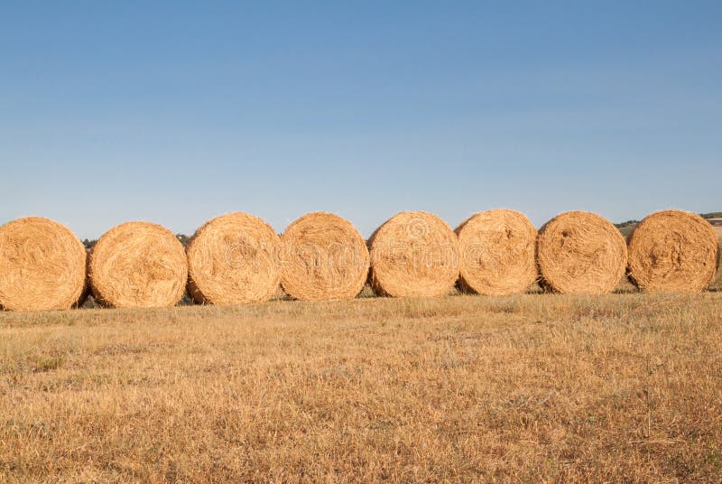 Reihe der Ballen Heus stockfoto. Bild von kampagne, ballen - 29472708