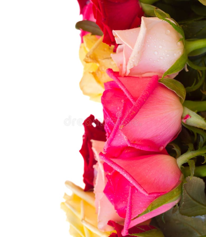 Frische Mehrfarbige Tulpen Im Vase Stockfoto - Bild von frech, mütter ...