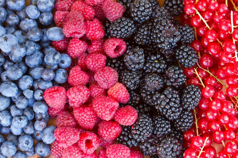 Reihen Von Frischen Beeren Auf Tabelle Stockfoto - Bild von getrennt ...