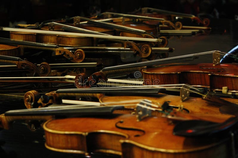 Reihen Von Violinen Violinendetails Stockfoto - Bild von leistung ...