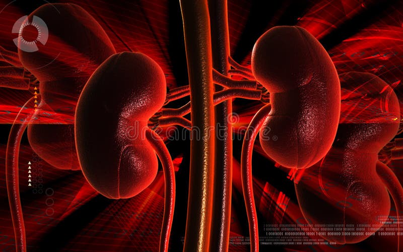 Rein illustration stock. Illustration du numérique, couleur - 18265235