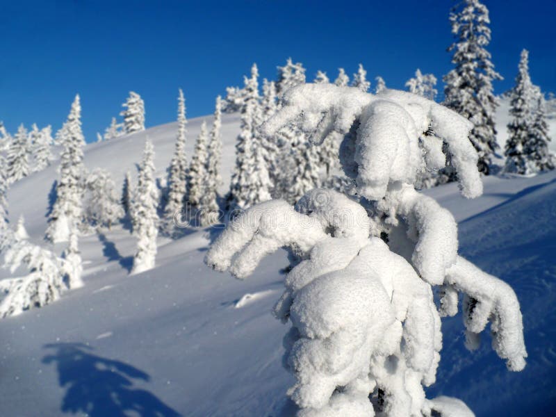 Quiet Winter Snowy Landscape Stock Photo - Image of coldish, drift ...