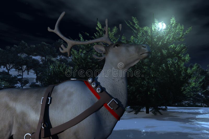Reindeer Looking at Moonlight Stock Illustration - Illustration of ...