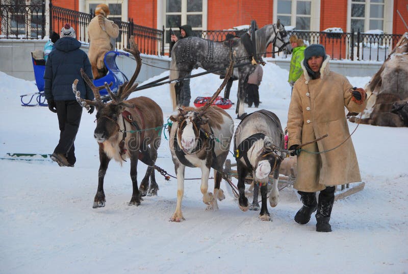 Fun Riding on a Reindeer Sleigh Editorial Image - Image of reindeer ...