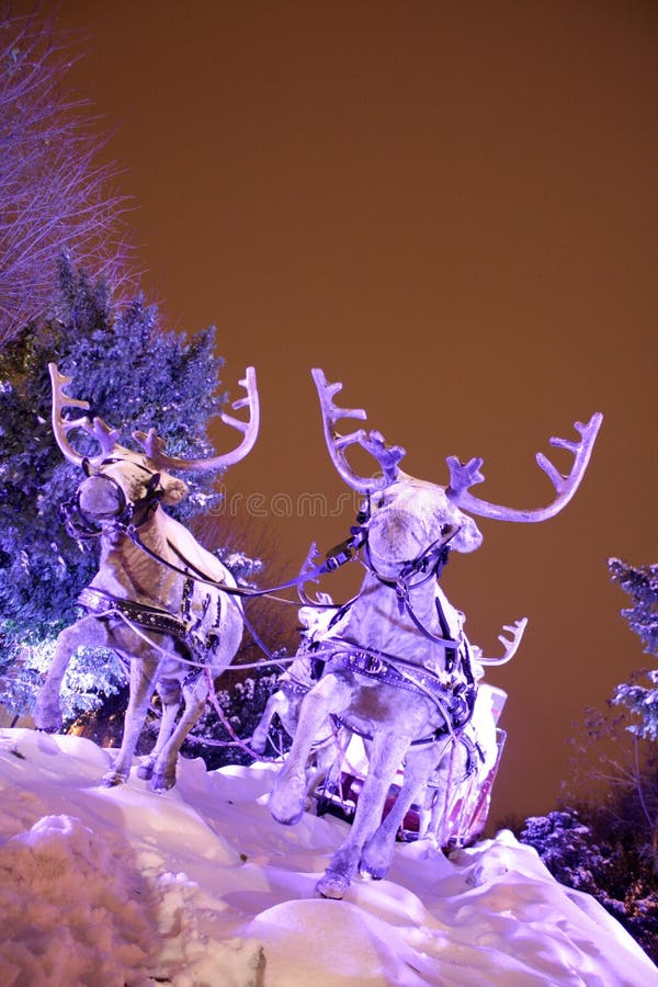 Reindeer and Santa S Sleigh Stock Image - Image of christmas ...