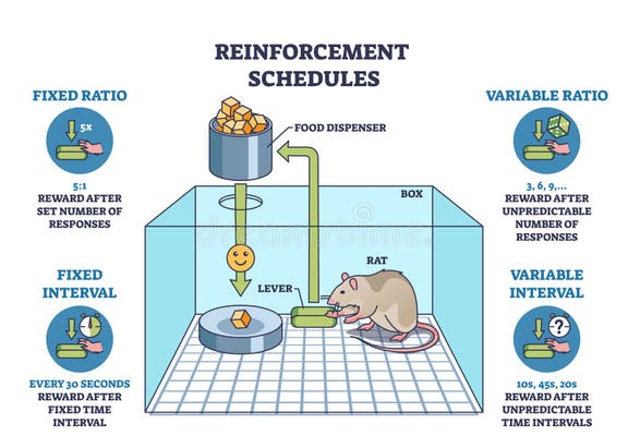 Operant Conditioning Stock Illustrations – 27 Operant Conditioning ...