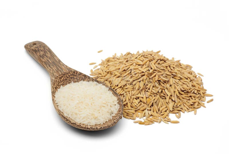 Reisset stockfoto. Bild von reis, kern, saatgut, trocken - 9106942