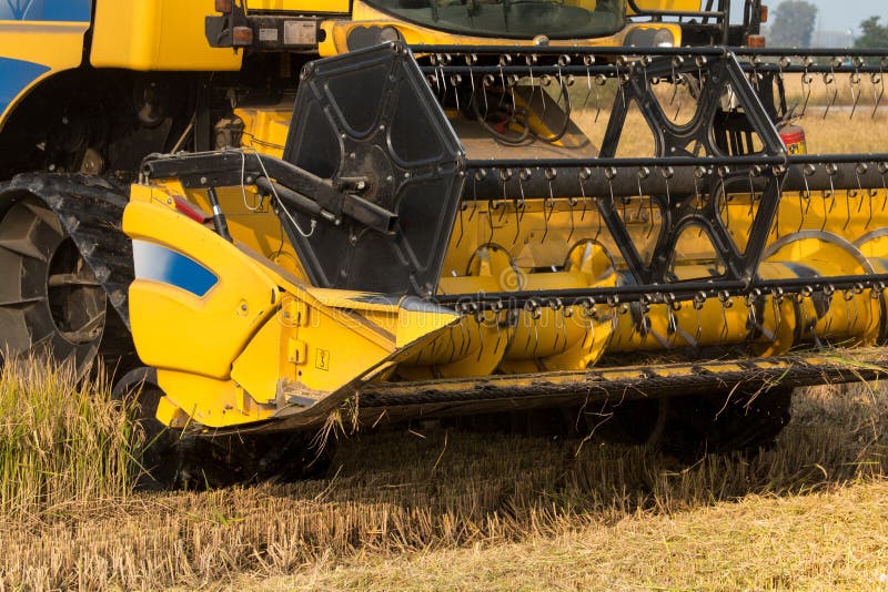 Reisernte Mit Erntemaschine Stockbild - Bild von italien, gelb: 70931349