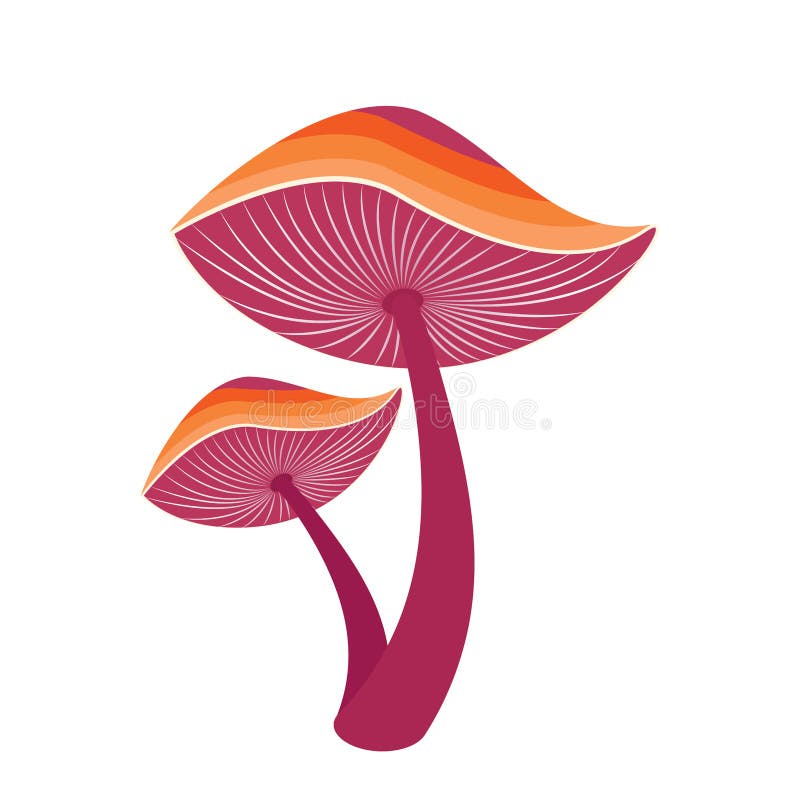 Genus Ganoderma Stock Illustrations – 6 Genus Ganoderma Stock ...