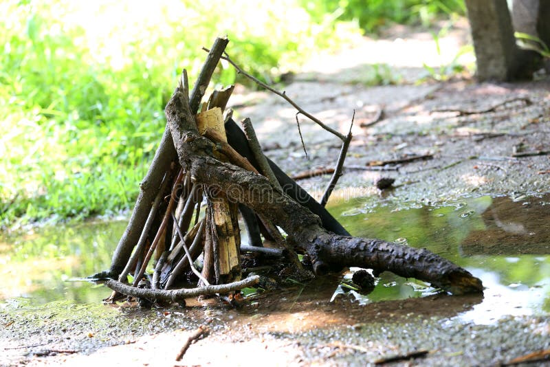 Reisig Stockfotos und Bilder - Laden Sie 6,108 lizenzfreie Fotos herunter