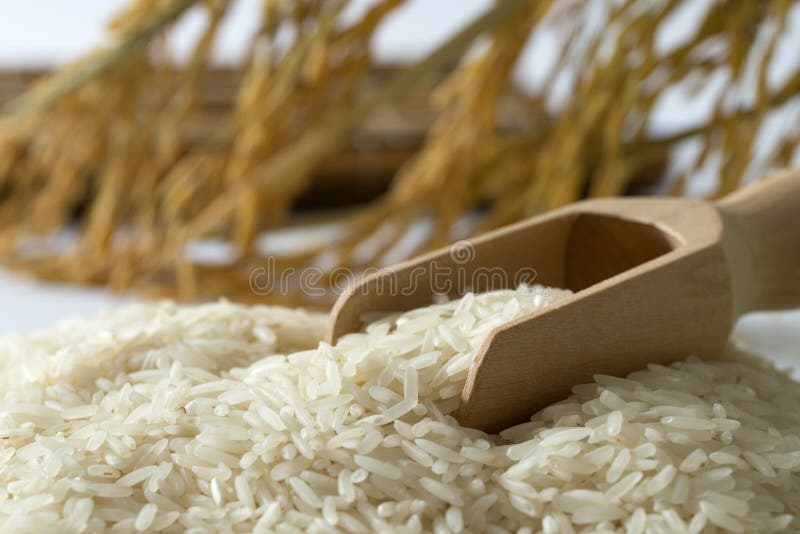 Reiskorn stockbild. Bild von organisch, erstklassig, getreide - 38963213