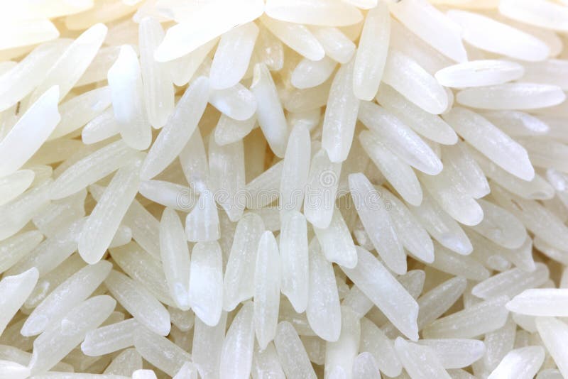 Reiskorn im Makro stockbild. Bild von getreide, betrieb - 40790133