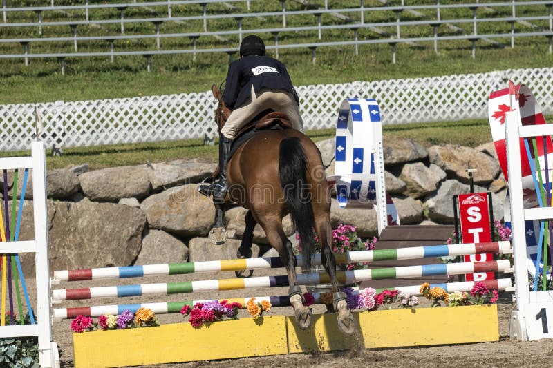 Zeigen Sie Springendes Pferd Und Mitfahrer Redaktionelles ...