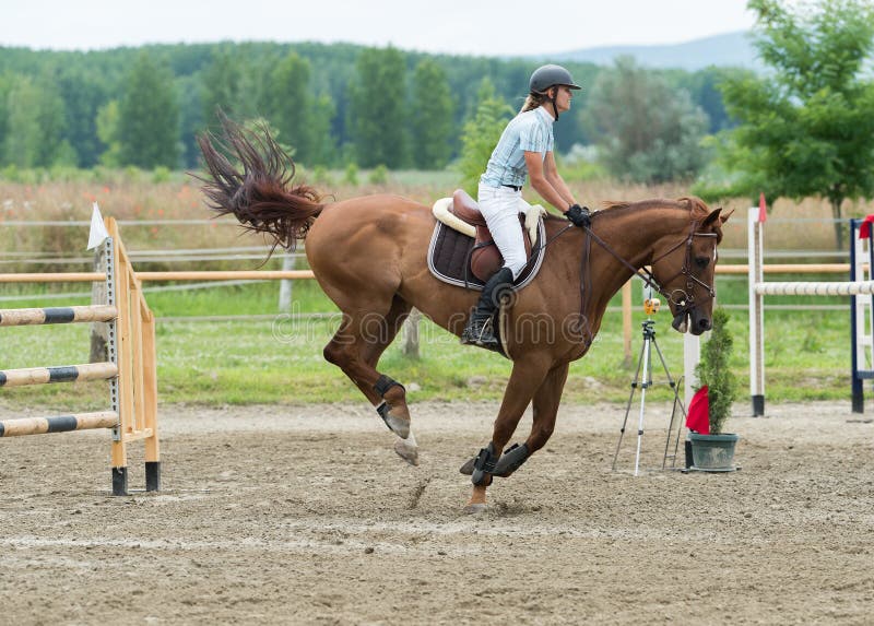 Reitersporte, Springendes Pferd, Show-Springen Stockfoto - Bild von ...
