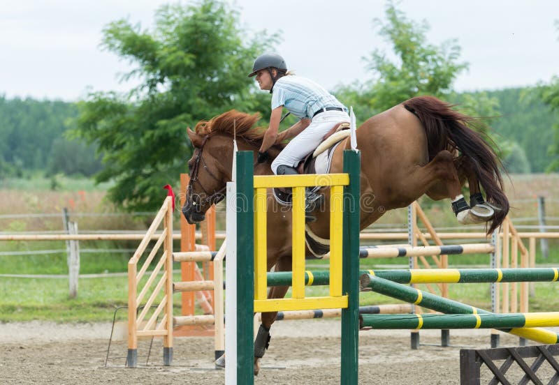Reitersporte, Springendes Pferd, Show-Springen Stockfoto - Bild von ...