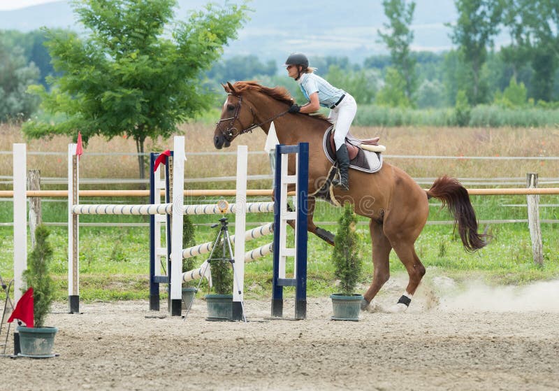 Reitersporte, Springendes Pferd, Show-Springen Stockbild - Bild von ...