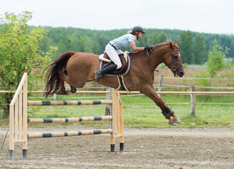 Reitersporte, Springendes Pferd, Show-Springen Stockfoto - Bild von ...