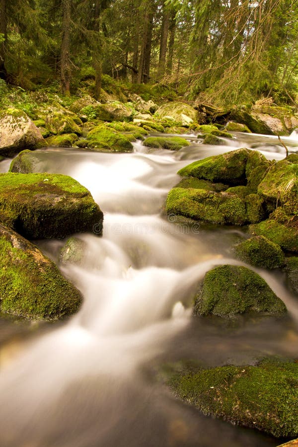 Lieblicher Und Magischer Wasserlauf Stockfoto - Bild von luft, frühling ...