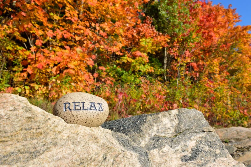 Relax with Autumn Trees stock image. Image of autumn - 82723569