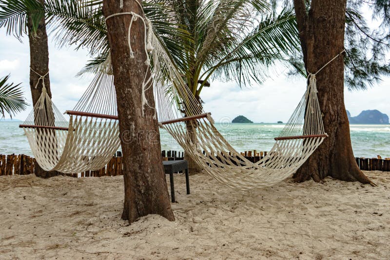 638 Cot Tree Stock Photos - Free & Royalty-Free Stock Photos from ...