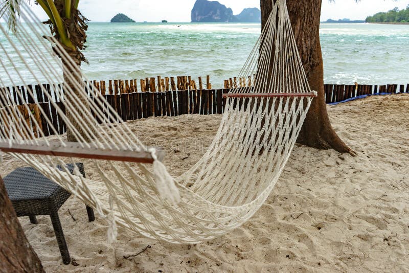 601 Cot Tree Photos - Free & Royalty-Free Stock Photos from Dreamstime