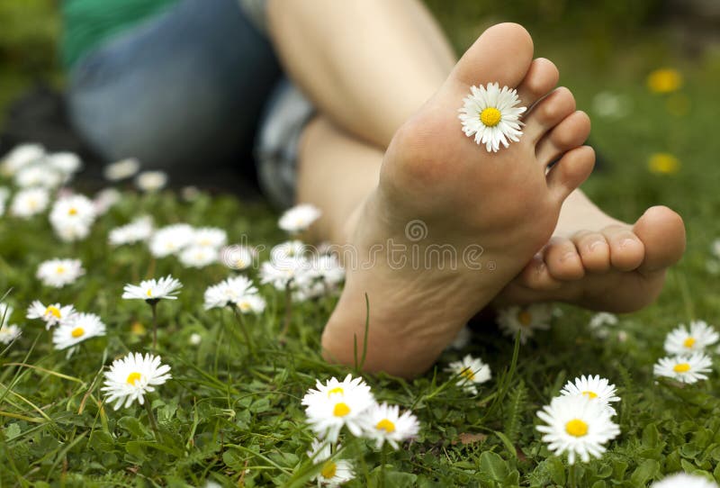 Camila Marrone Feet Stock Photos - Free & Royalty-Free Stock Photos ...