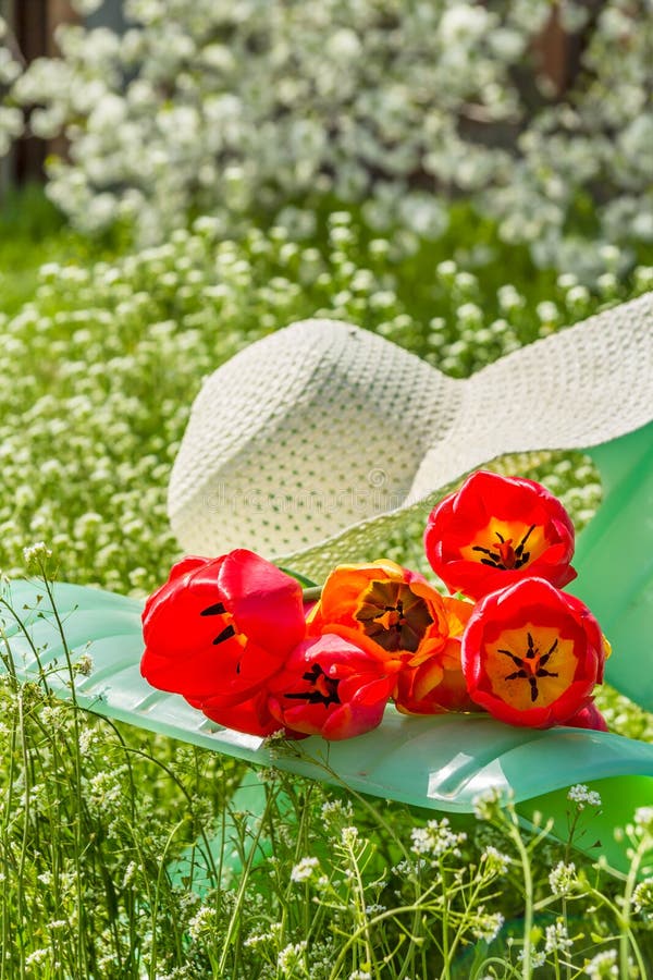 Relax in the Garden in a Spring Day Stock Photo - Image of highlight ...
