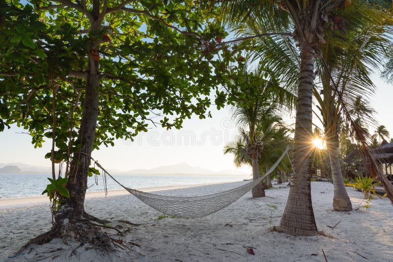 Relax in Hammock on the Beach Stock Image - Image of exotic, paradise ...