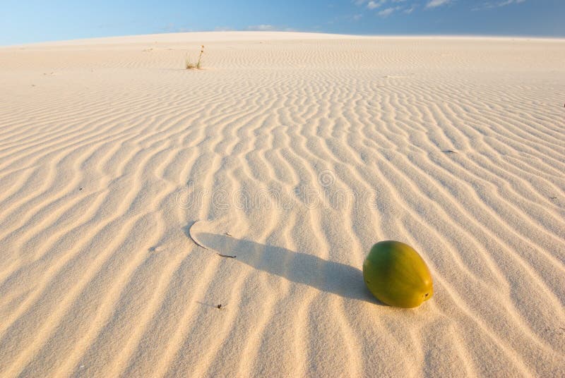 Relax... stock image. Image of dune, sand, relax, brasil - 48897367