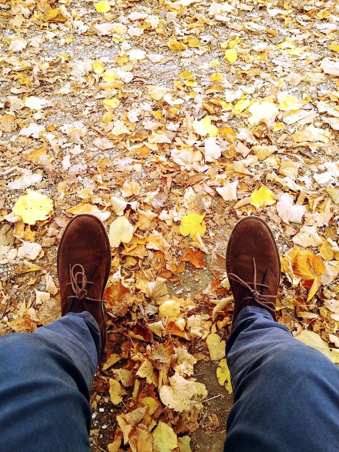 Relax on the leaves stock image. Image of autumn, trousers - 62544333