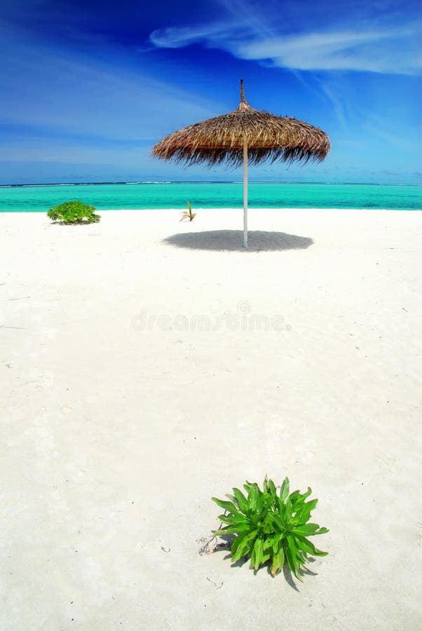 Relax in the Maldives stock photo. Image of relaxation - 12470918