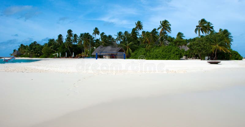 Maldives island stock photo. Image of green, coco, house - 19419532