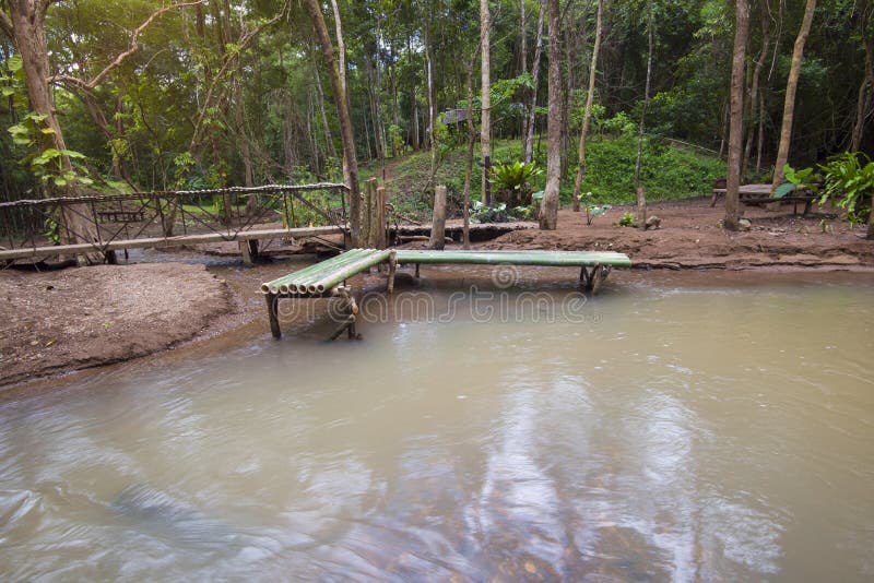 Nature and Bench in the Park Stock Photo - Image of green, mountain ...