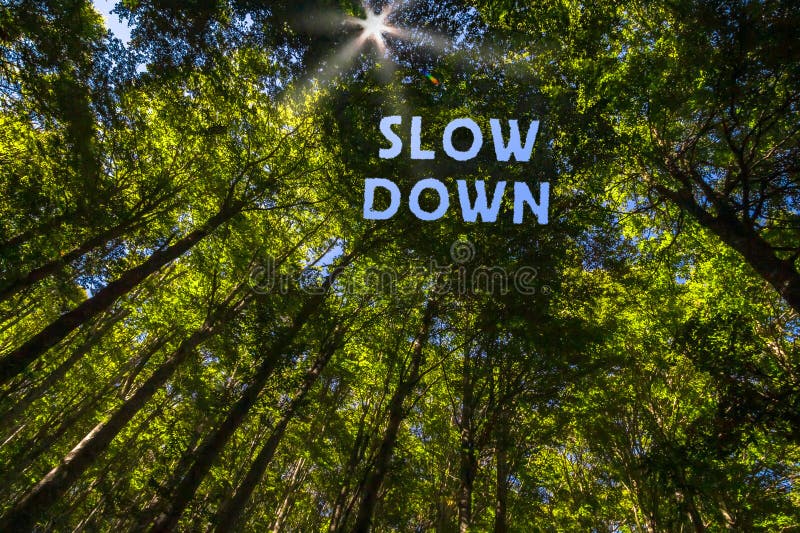 Relax in Nature Concept stock image. Image of mind, notice - 291393699