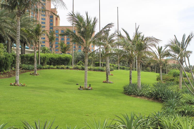 Relax park in green grass stock photo. Image of freshness - 30608434